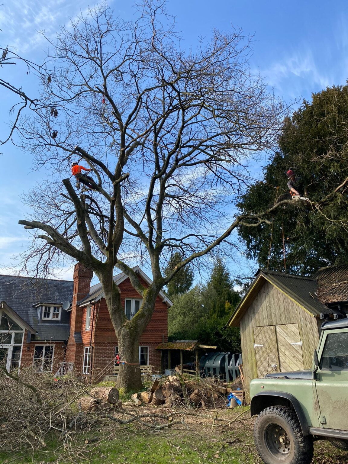 Tree Surgeons Wiltshire & Hampshire - Wilts and Hants Tree Care
